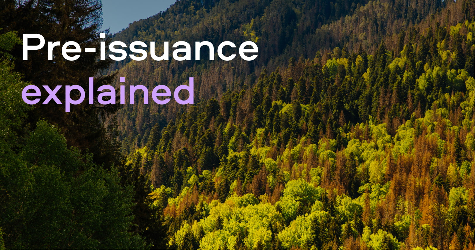 Pre-Issuance Primer: what you need to know about investing early in carbon projects